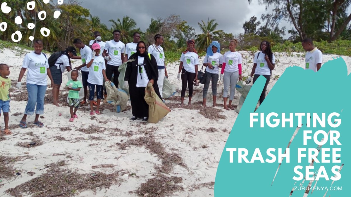 Fighting for Trash Free Seas: The International Coastal Cleanup ...